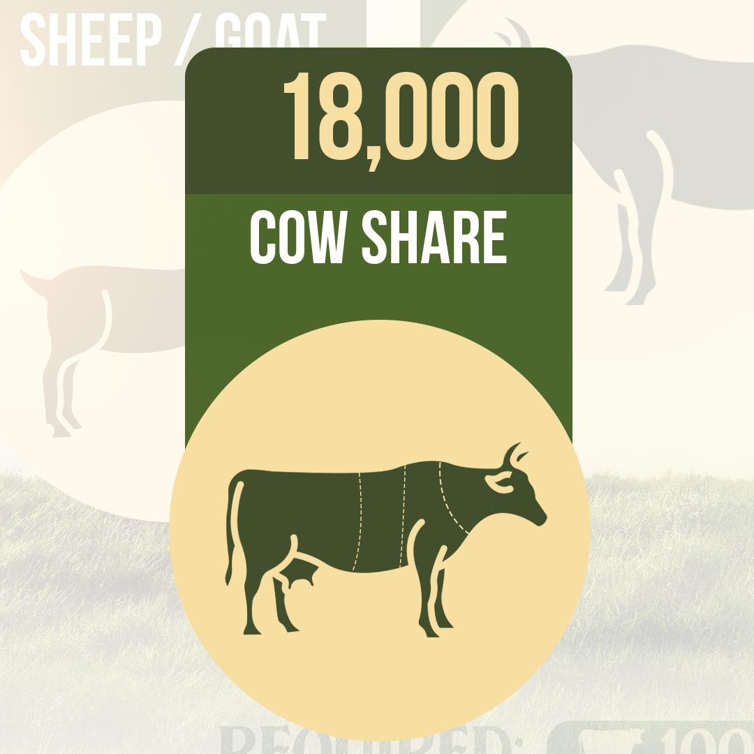 Cow (Shares) - MIRC Welfare